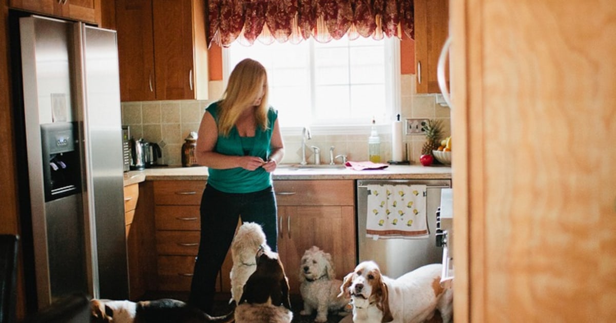 Going on vacation? DogVacay offers homestays for pets