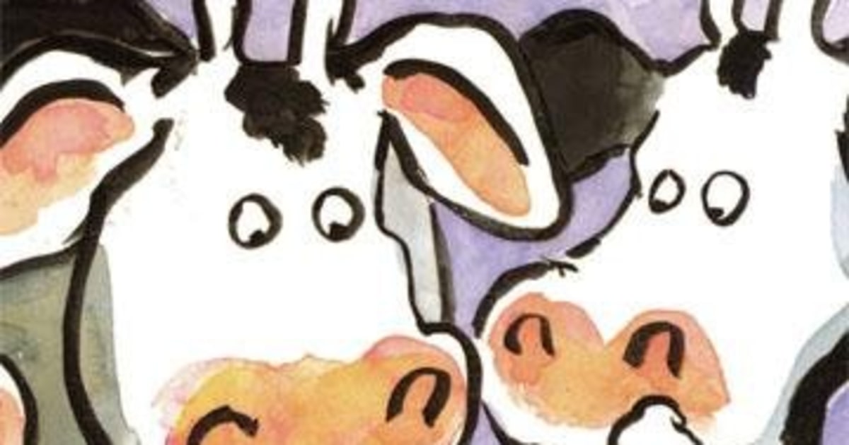 Moo cows, moo problems