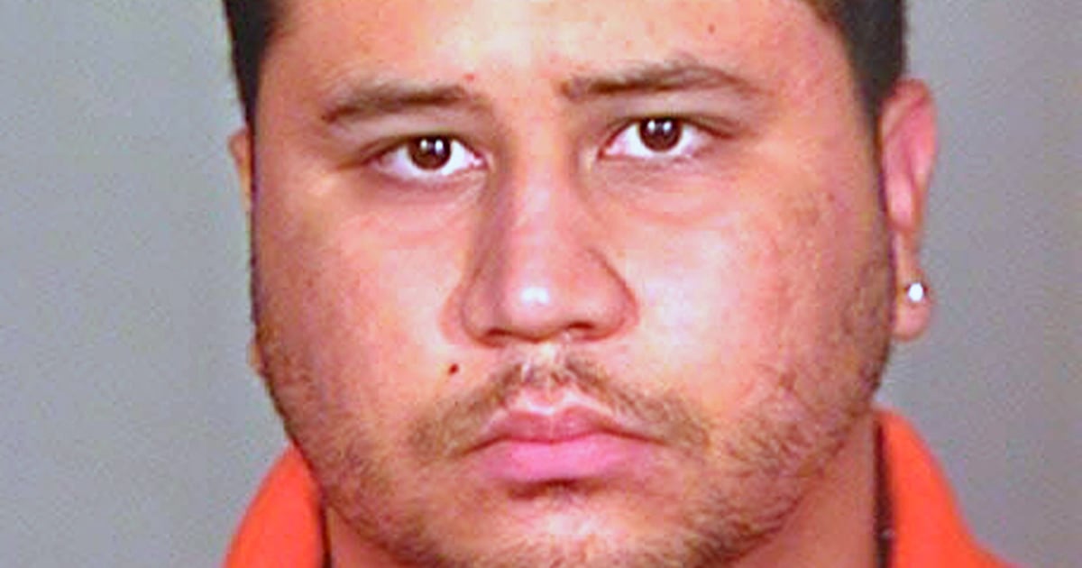 Zimmerman accused of domestic violence, fighting with a police officer