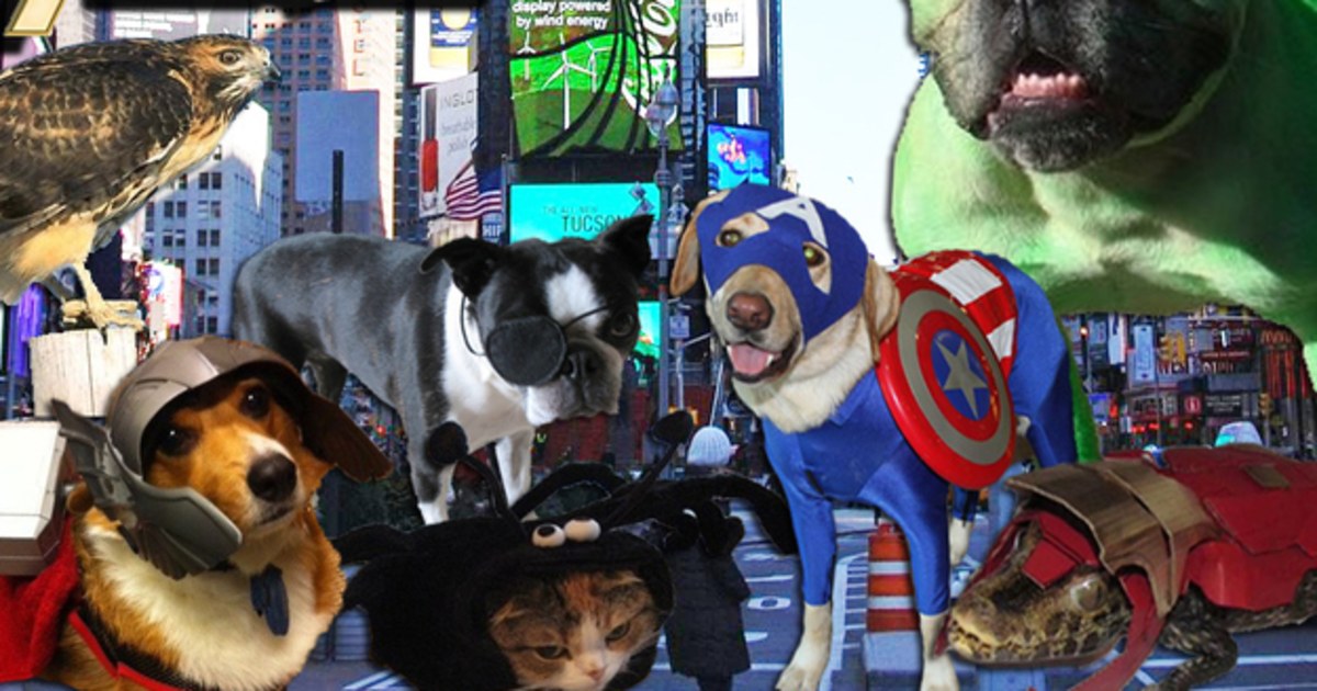 Pre-caffeine tech: Avenger animals, Internet doomsday!