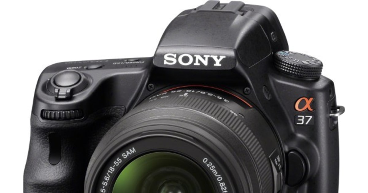 Two highly evolved Sony cameras vie for your $600