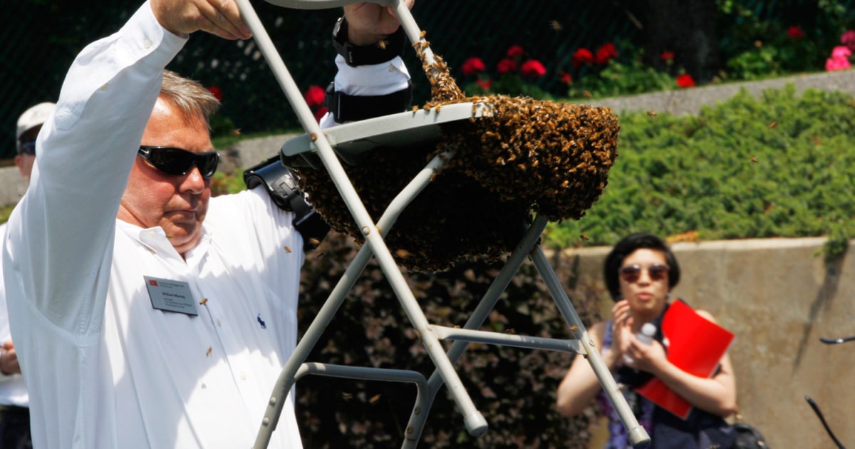 Surprise guests make quite a buzz at Boston University's commencement