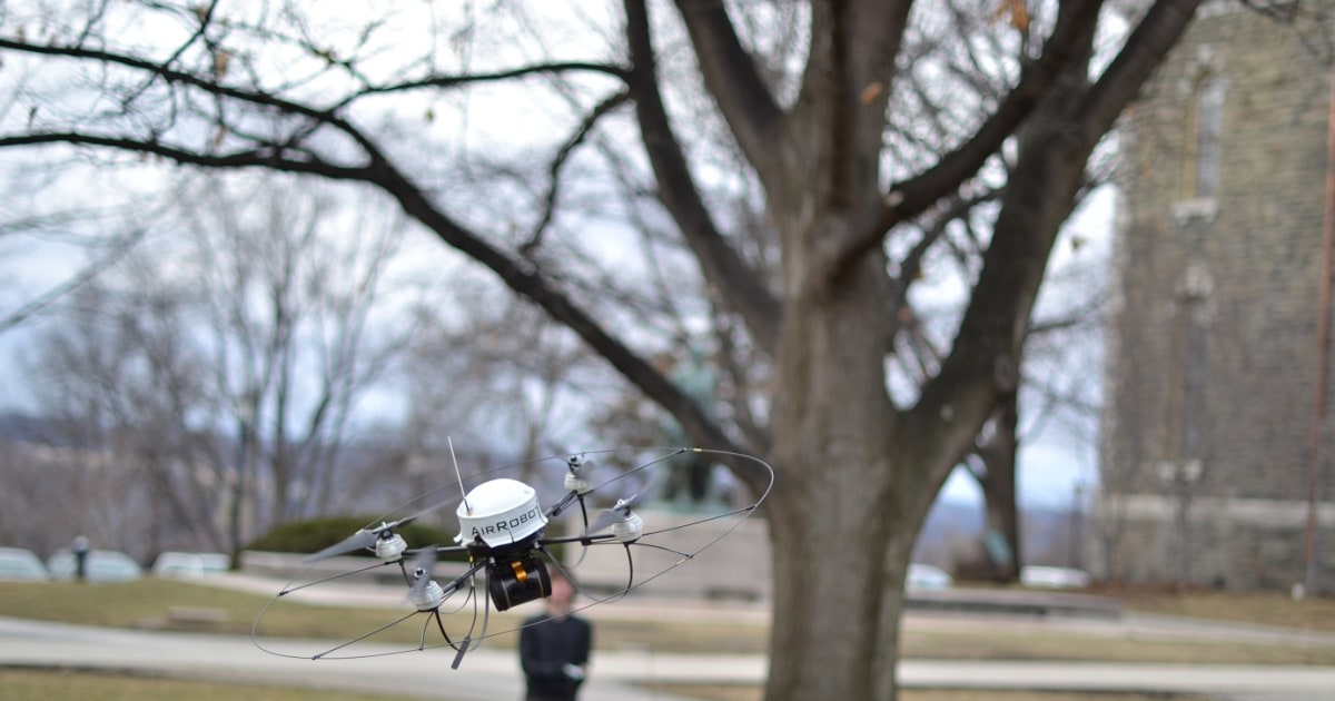 Bird-brained robot flies outdoors without crashing into trees