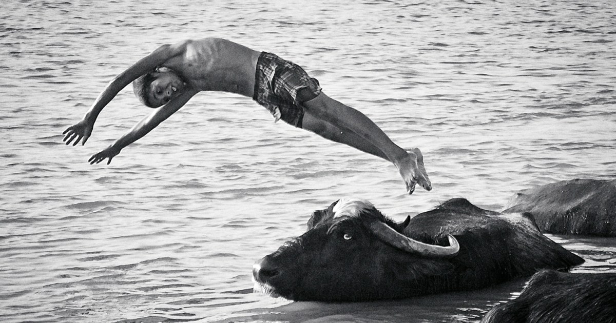 Project displays one day of the human experience