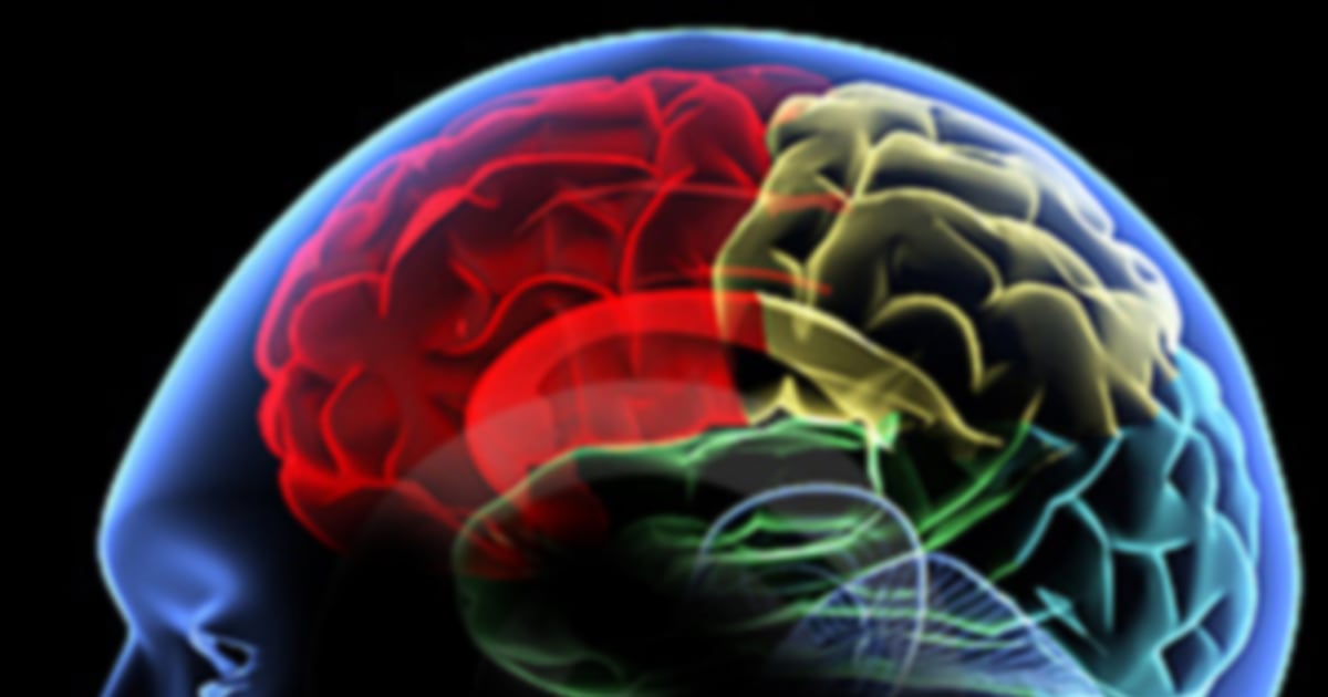 How our brains work to erase bad memories