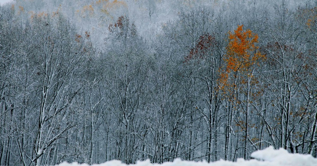 Sandy delivers West Virginia unexpected blizzard