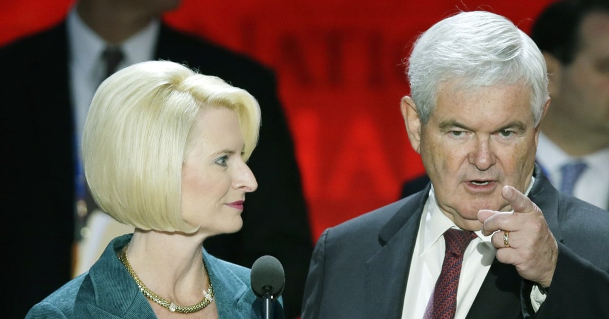 Newt rips Rove for making Akin murder joke 'in the age of Gabby Giffords'