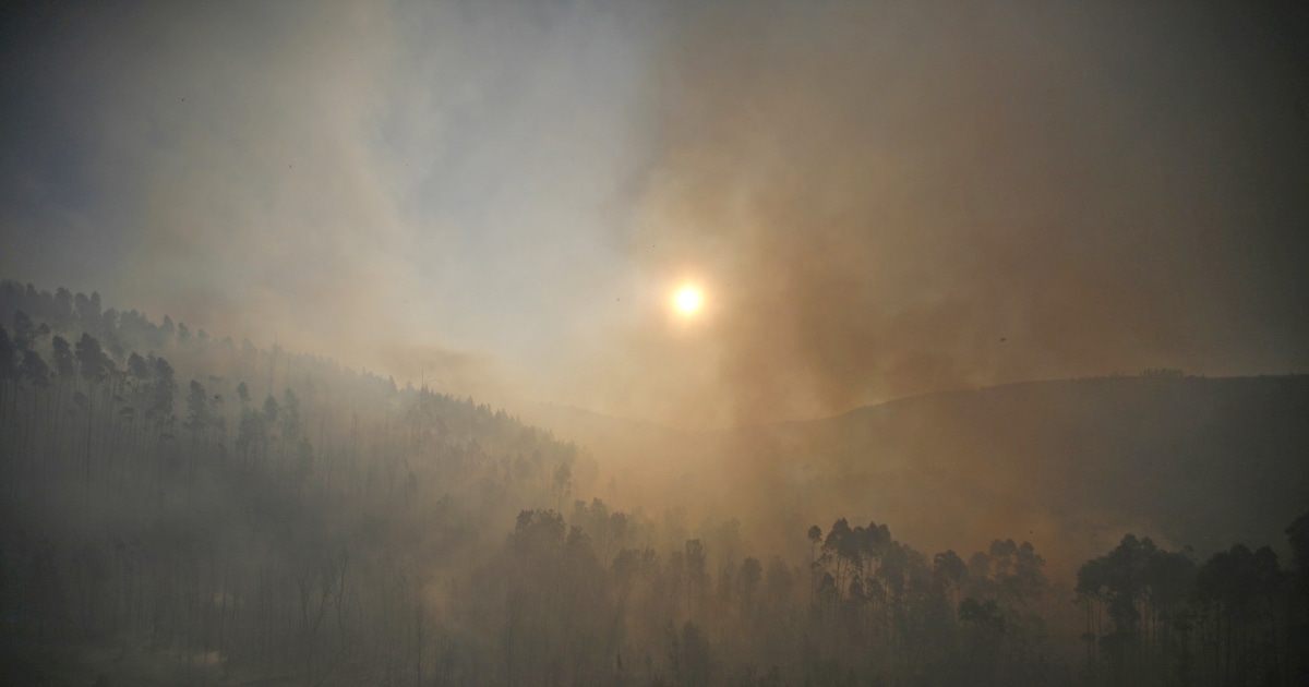 Forest fires continue to rage in Portugal