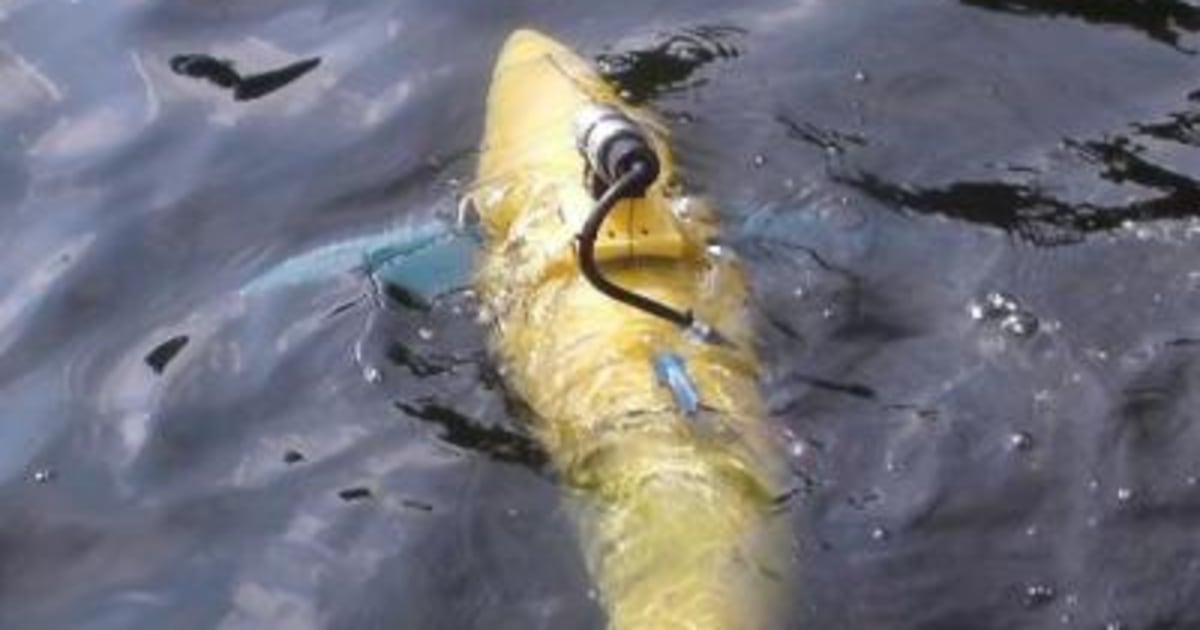 Robotic tuna fish to sniff out homeland threats