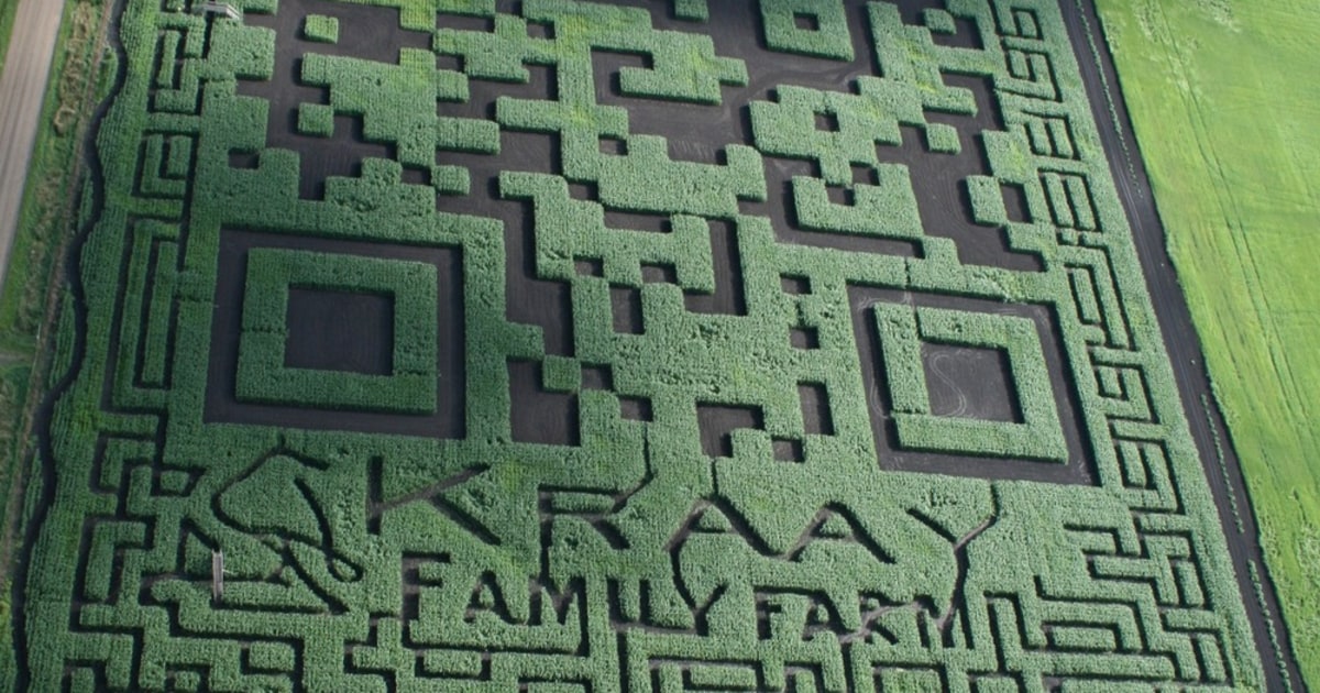 Get lost in these 5 amazing corn mazes