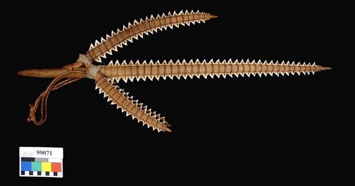 Vicious shark-tooth weapons reveal lost species