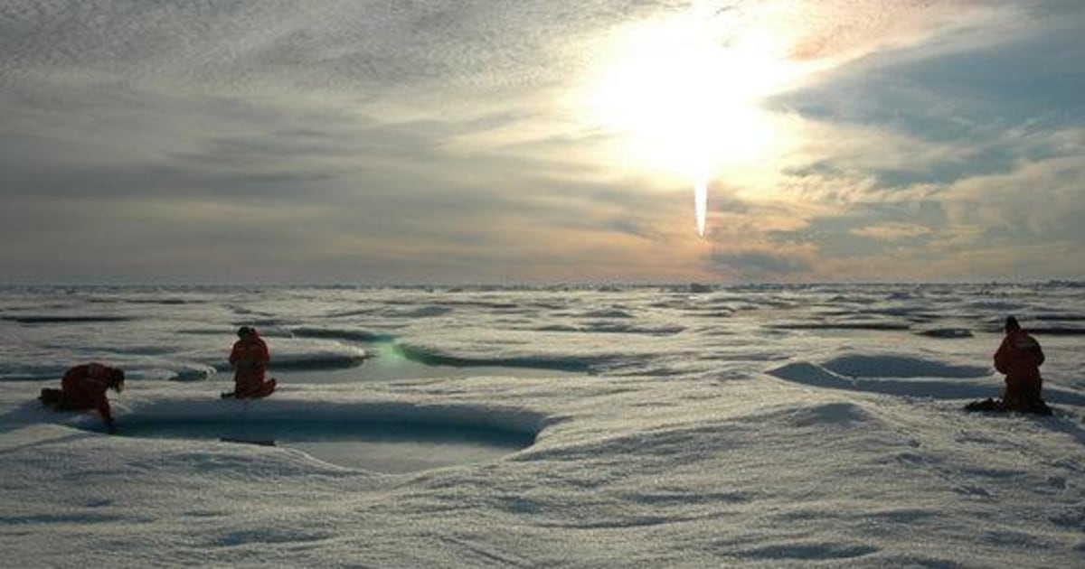 By 2050, Arctic to be warmer and greener