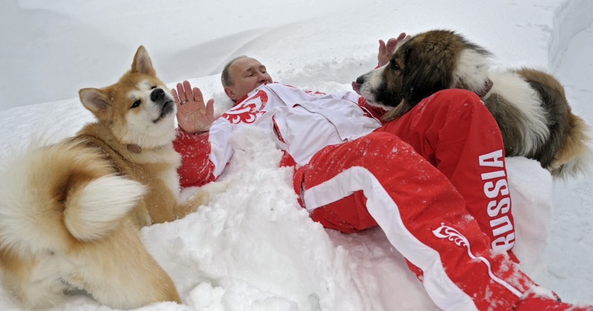 Putin and his pooches frolic in the snow