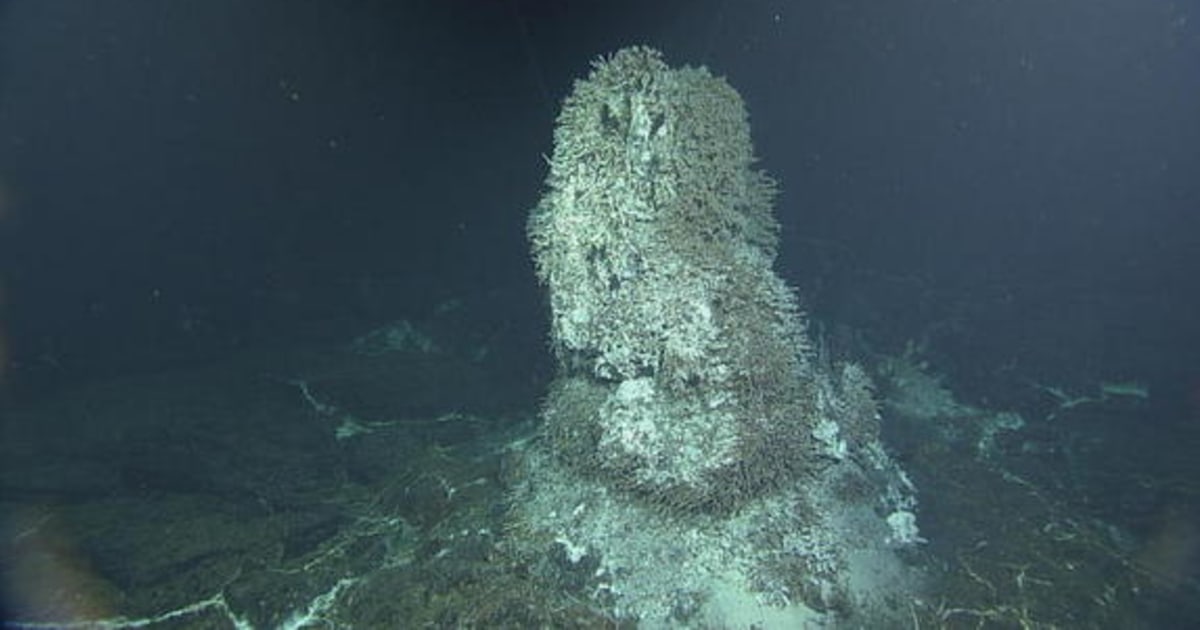 Live video lets anyone explore deep hydrothermal vent on seafloor
