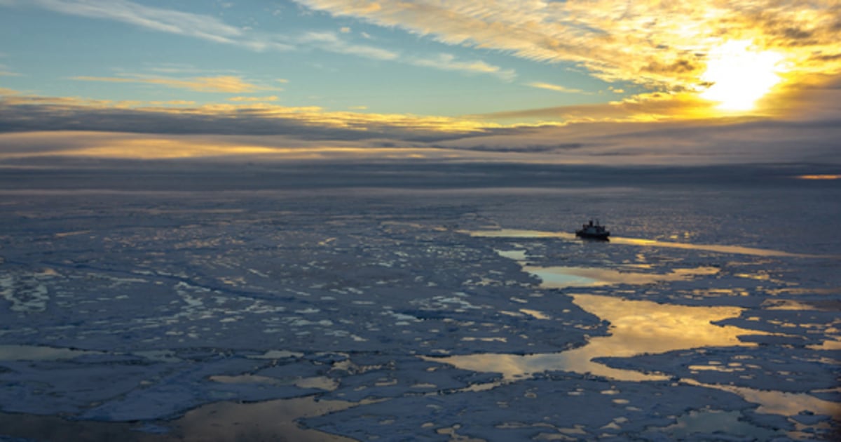 You can blame the scorching summers on shrinking Arctic sea ice
