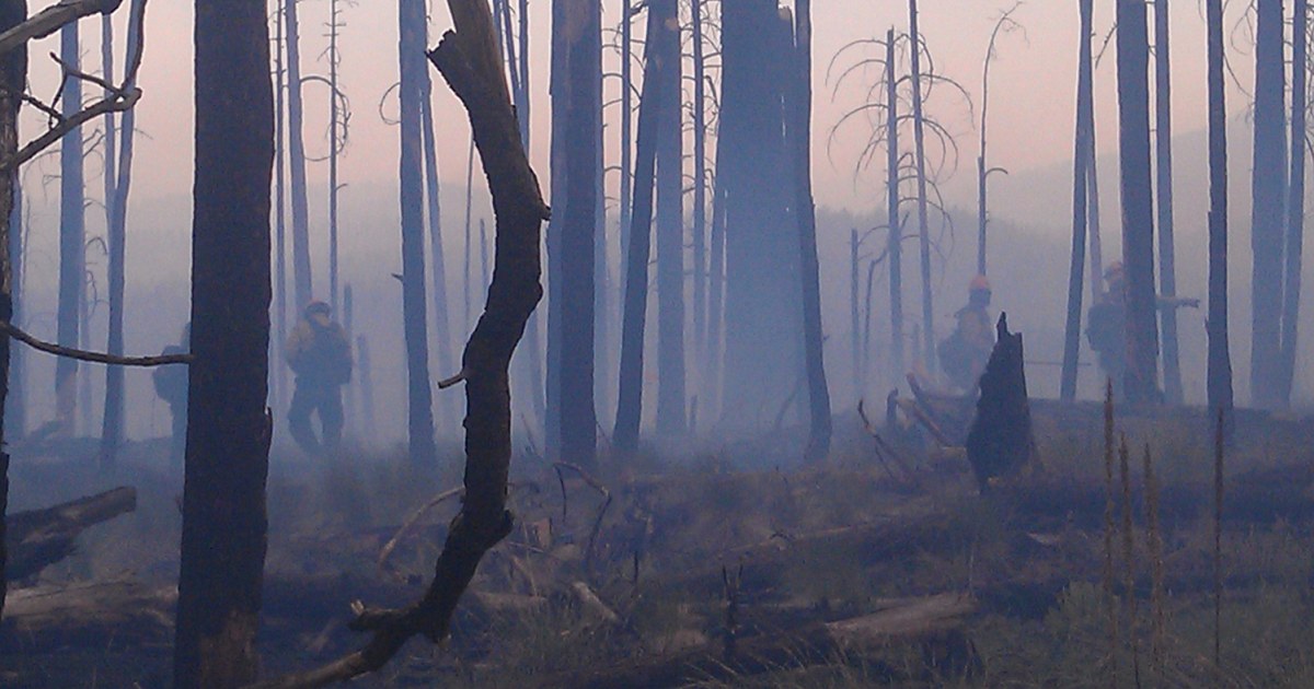 Climate change shaking up forest management, federal report says
