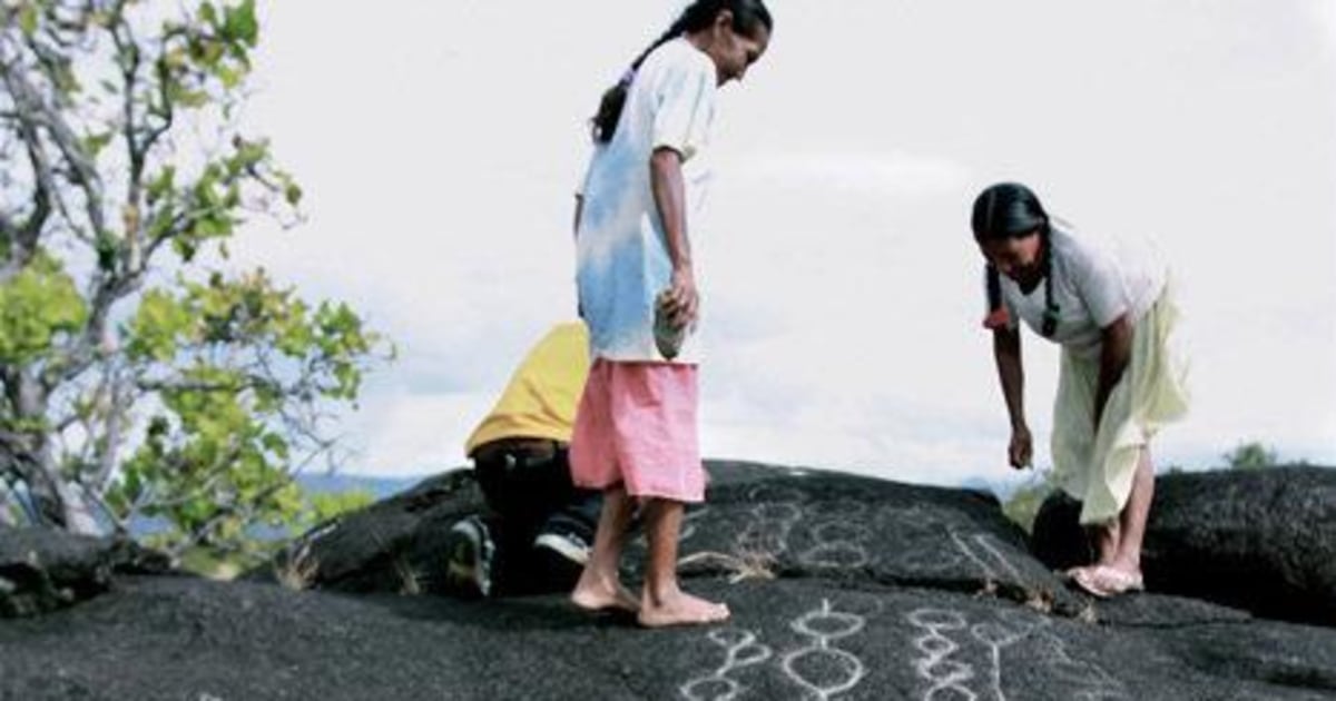 Religious norms may alter animal life in Amazon