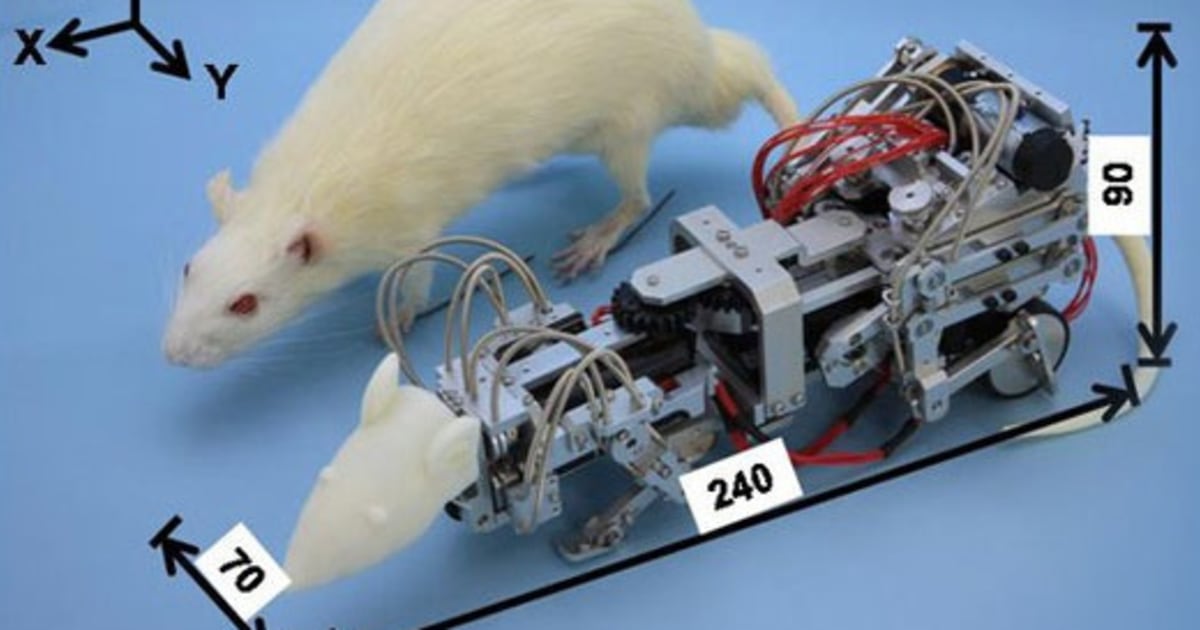 Pitiless robo-rat bullies real rats into depression ... for science!