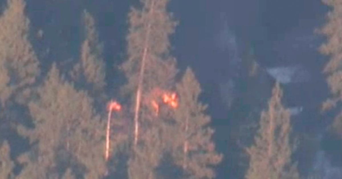 Hunt for fugitive ex-cop: Charred human remains found in burned cabin