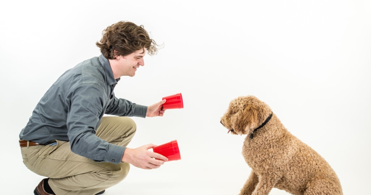 Dognition uses brain-teasers to unlock mysteries of your dog's mind
