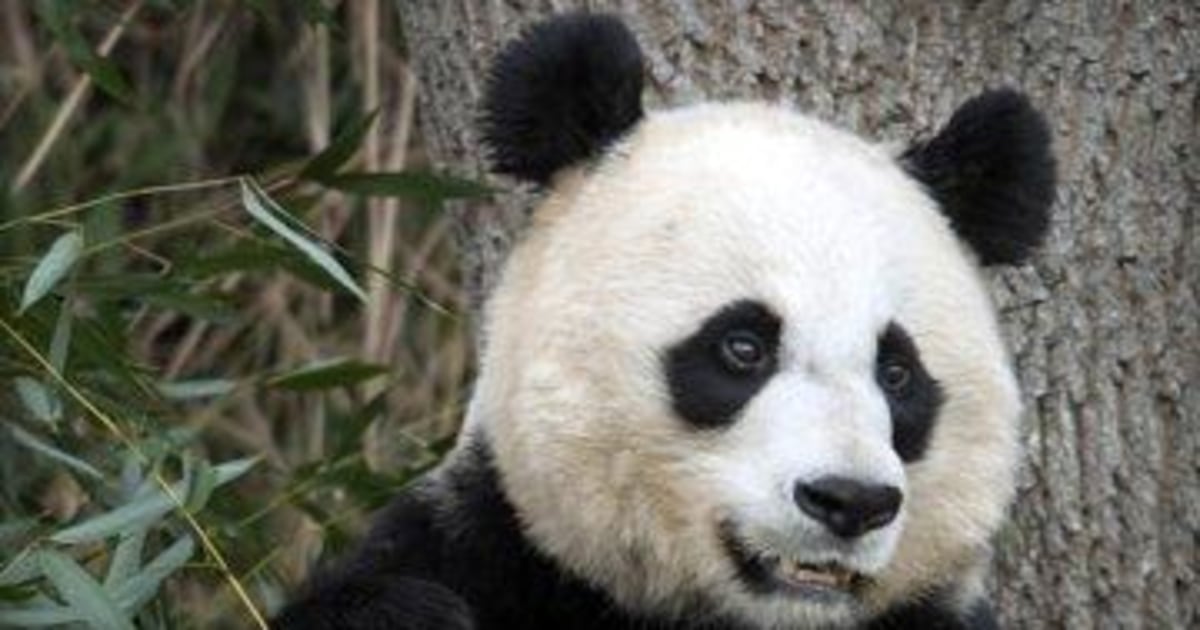 Stay classy, FreedomWorks