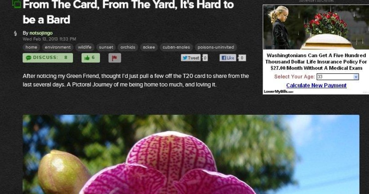 New Video and Photo Posts