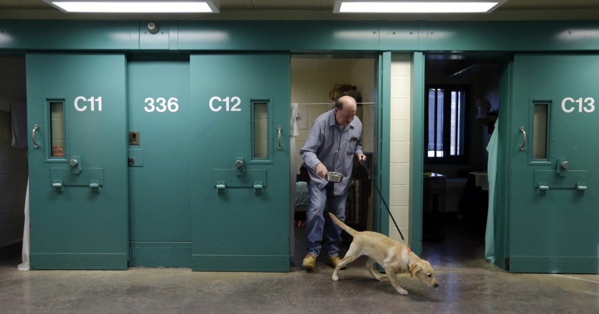 Puppy training: Future service dogs head to maximum-security prison