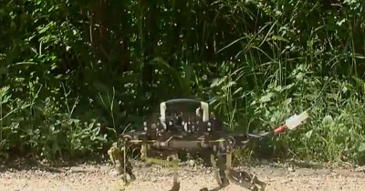 'Cheetah-Cub' looks like a robot, runs like a cat