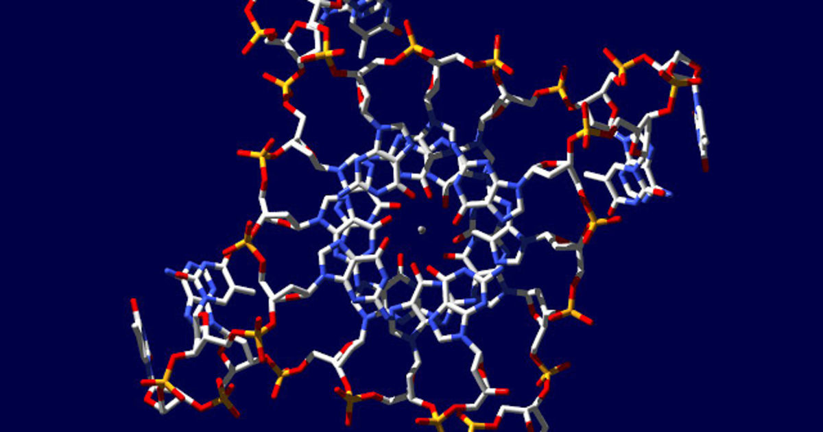 Four-stranded DNA discovered