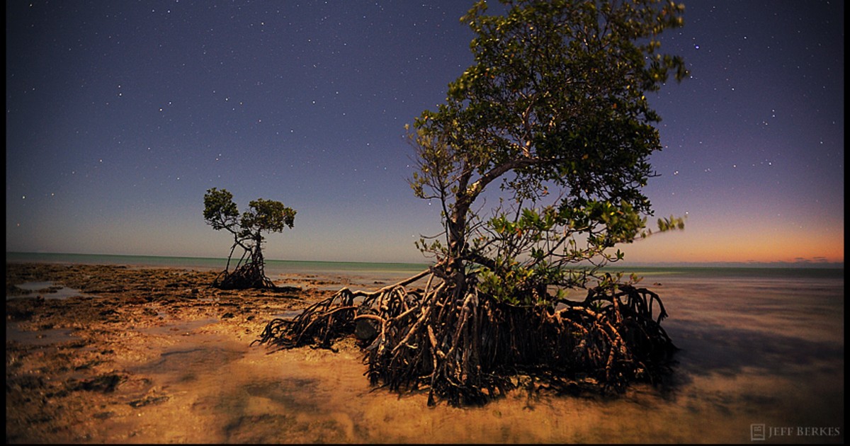 Meteor quest turns up treasures
