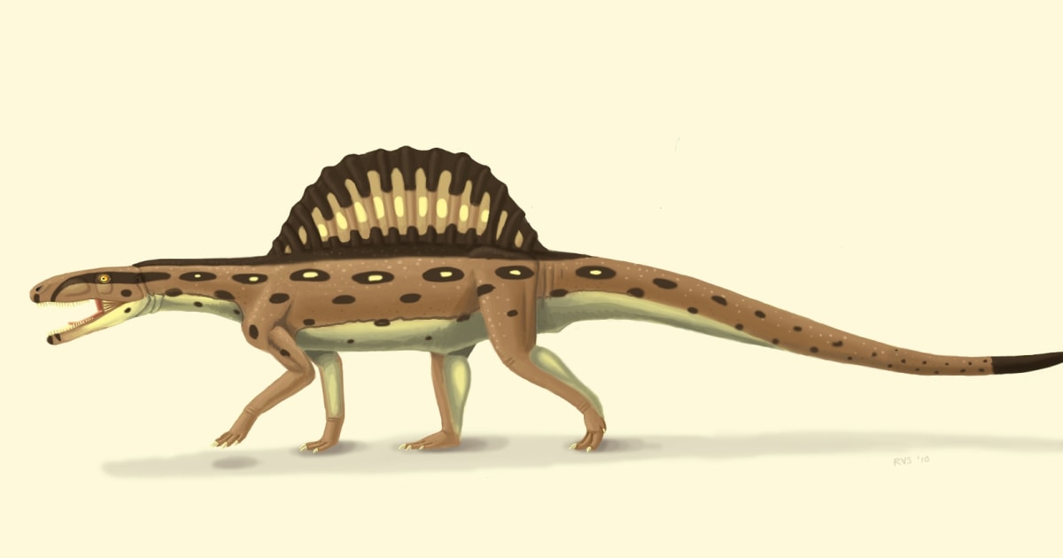 Study reshuffles crocodile family tree