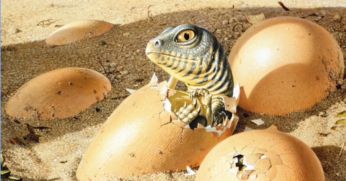 How art brings dinosaurs to life