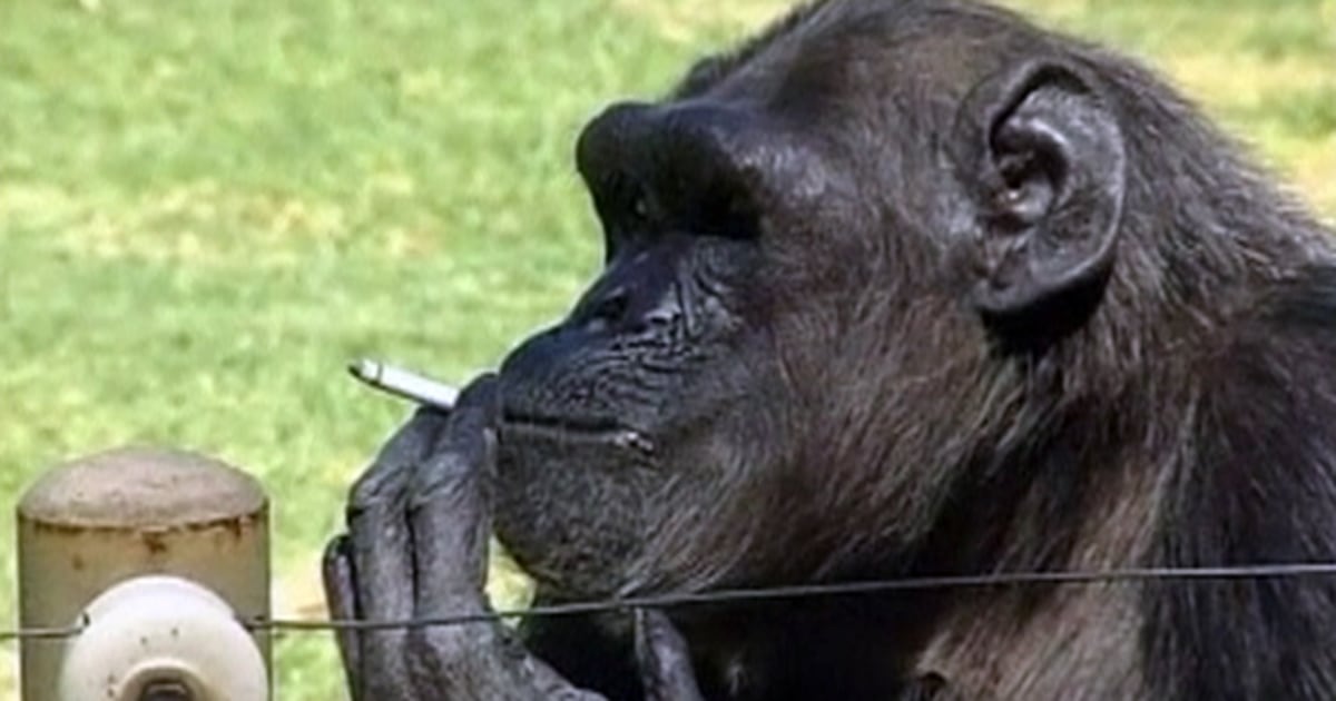 Turn to the weird side of science