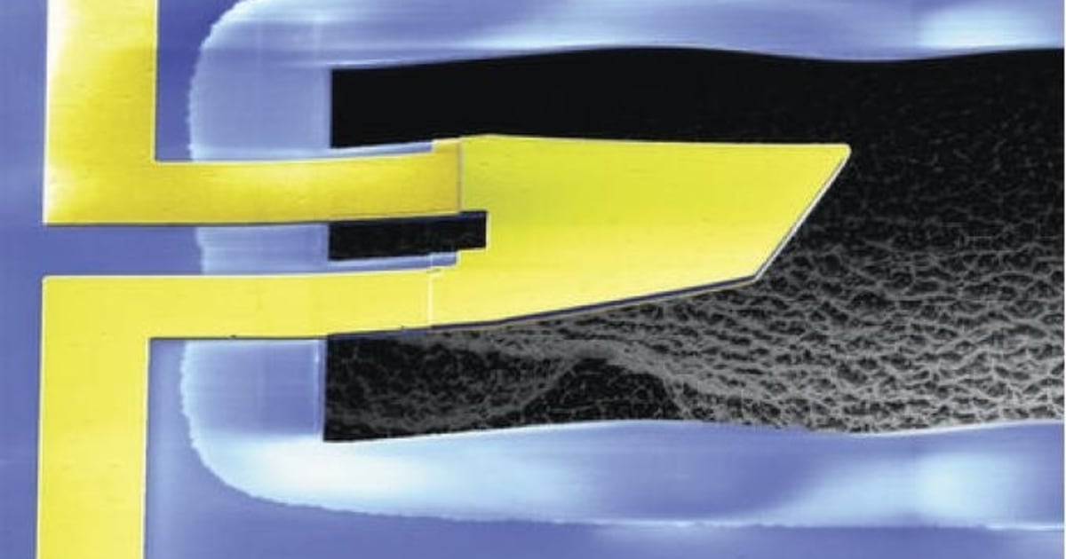 The year in science: A quantum leap