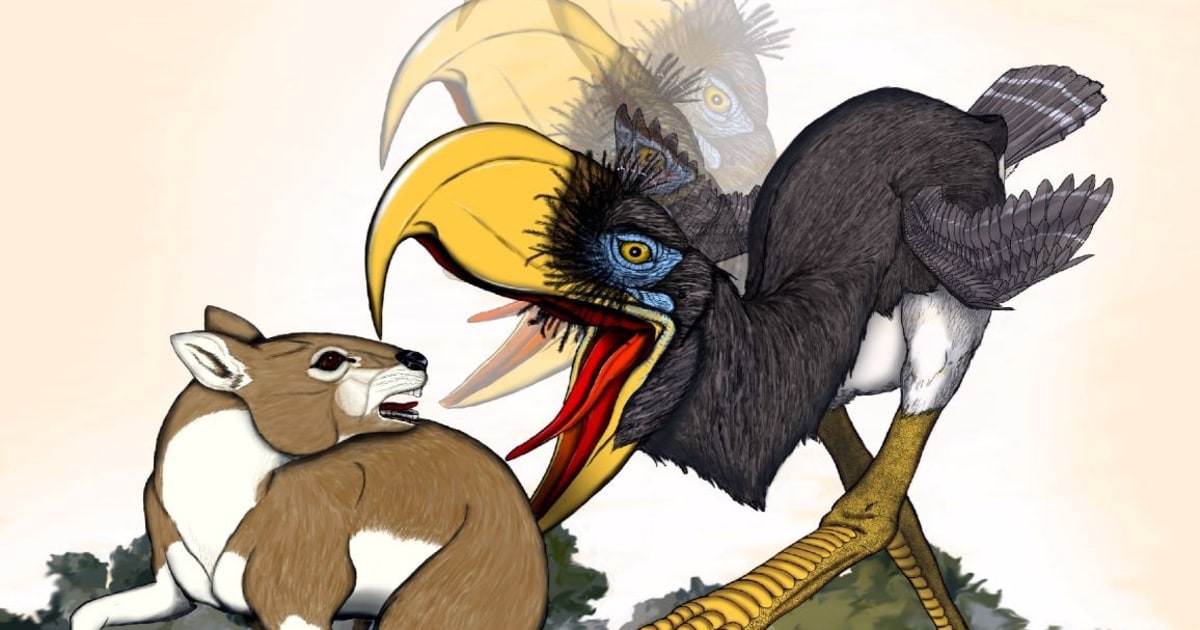 How the 'terror bird' tore its prey