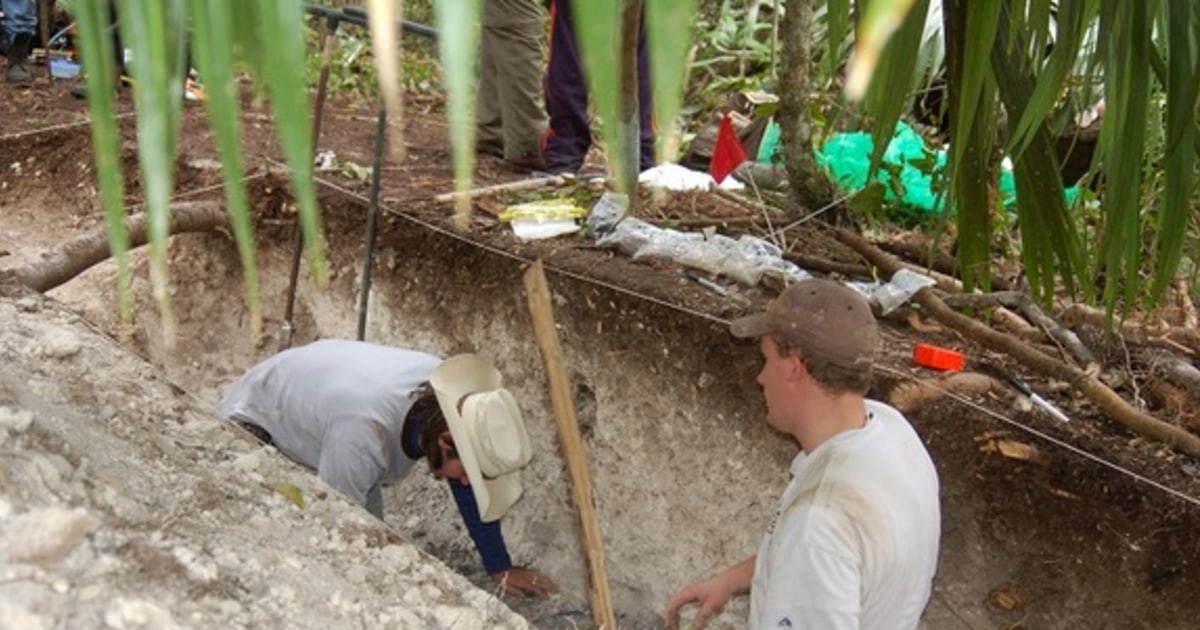 So how many Maya were there? Farms offer up clues