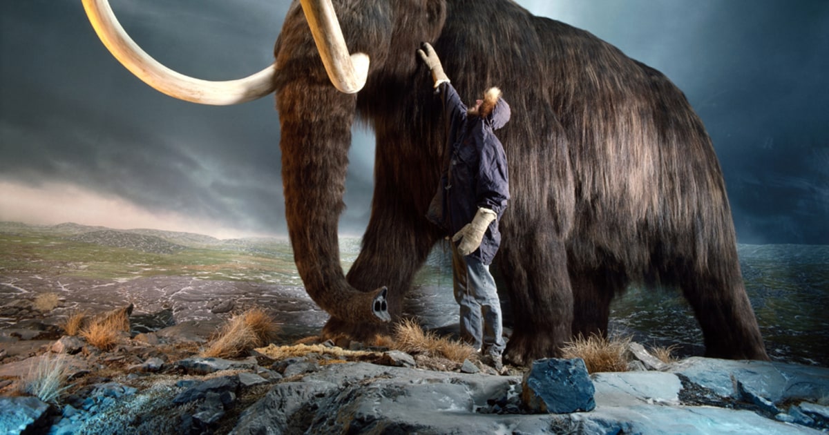 Should we revive extinct species? Watch experts debate de-extinction