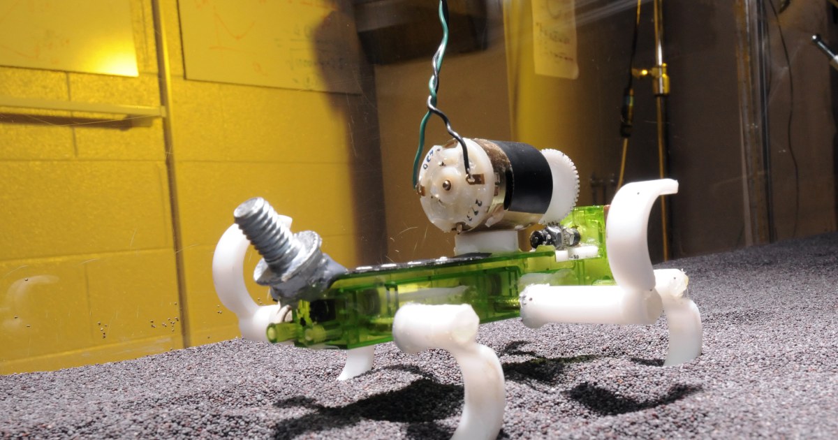 Meet the 6-legged robot lizards that may one day roam Mars