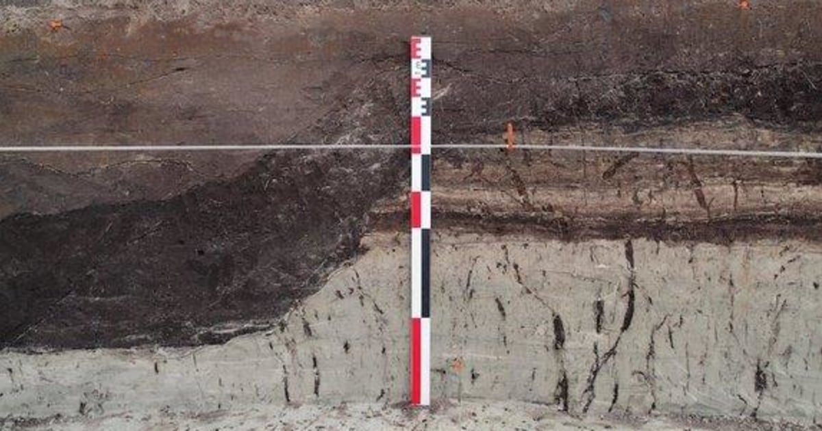 Holy land: Medieval monks drained wetlands to build