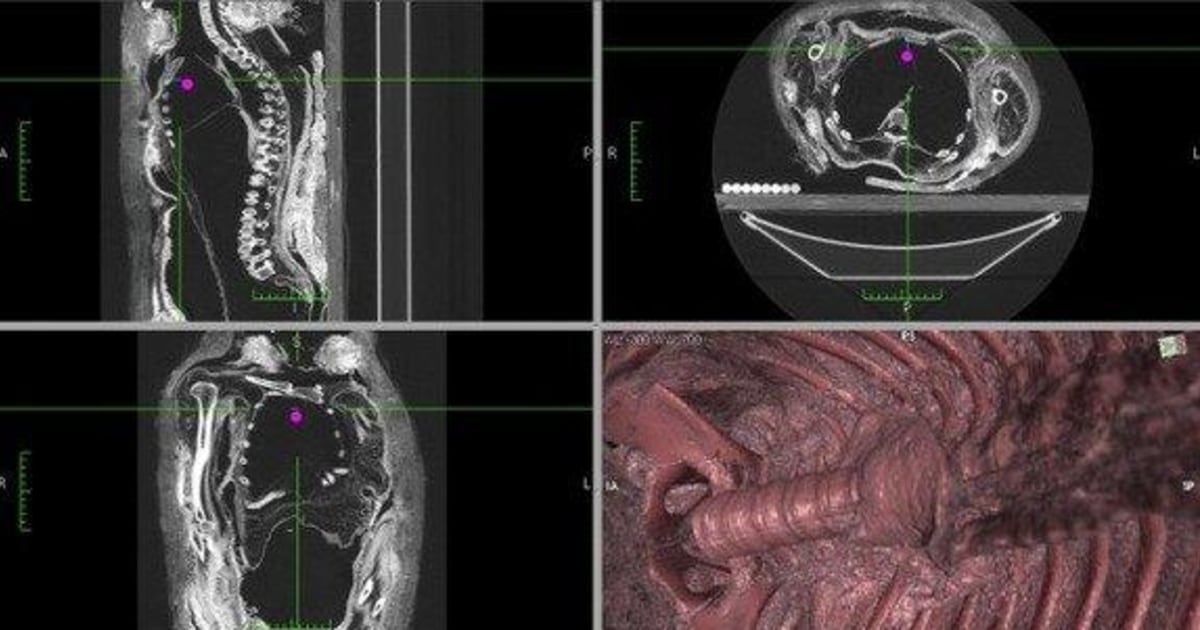 2,400-year-old mummy-making myths no longer under wraps