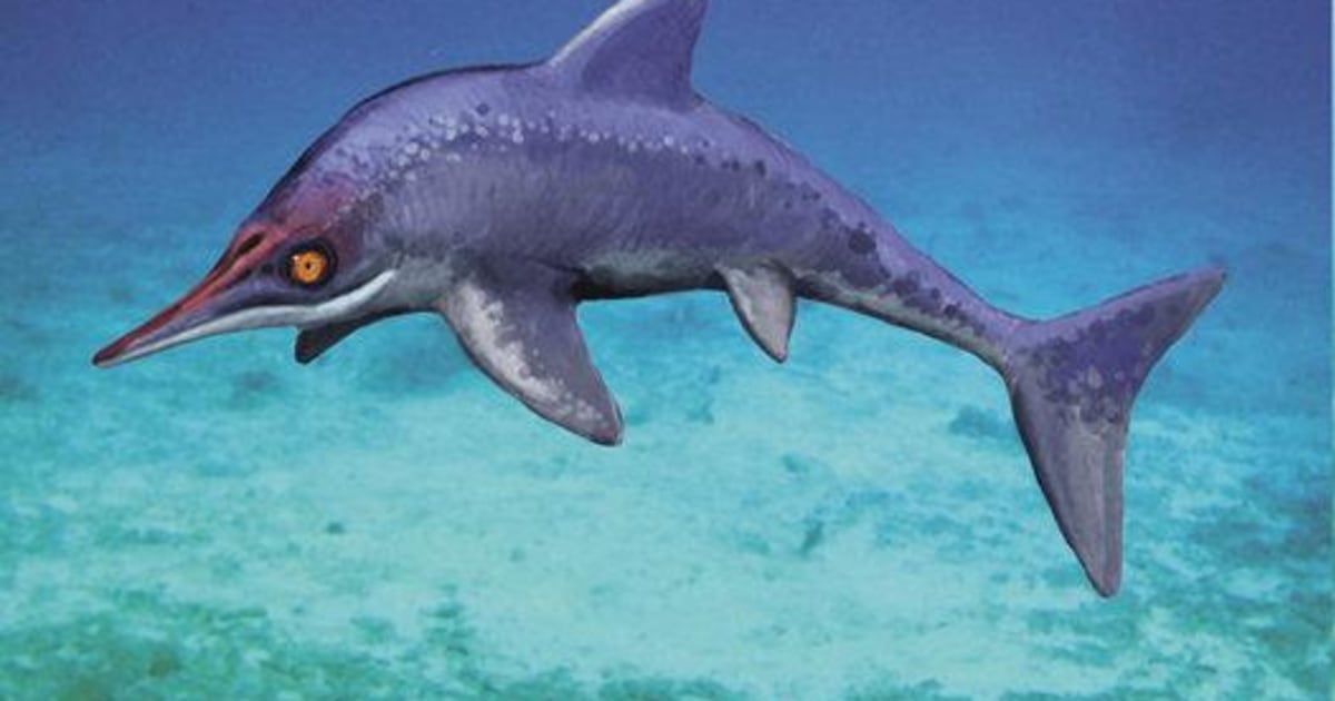 Fossil reveals surprising survival of marine reptile