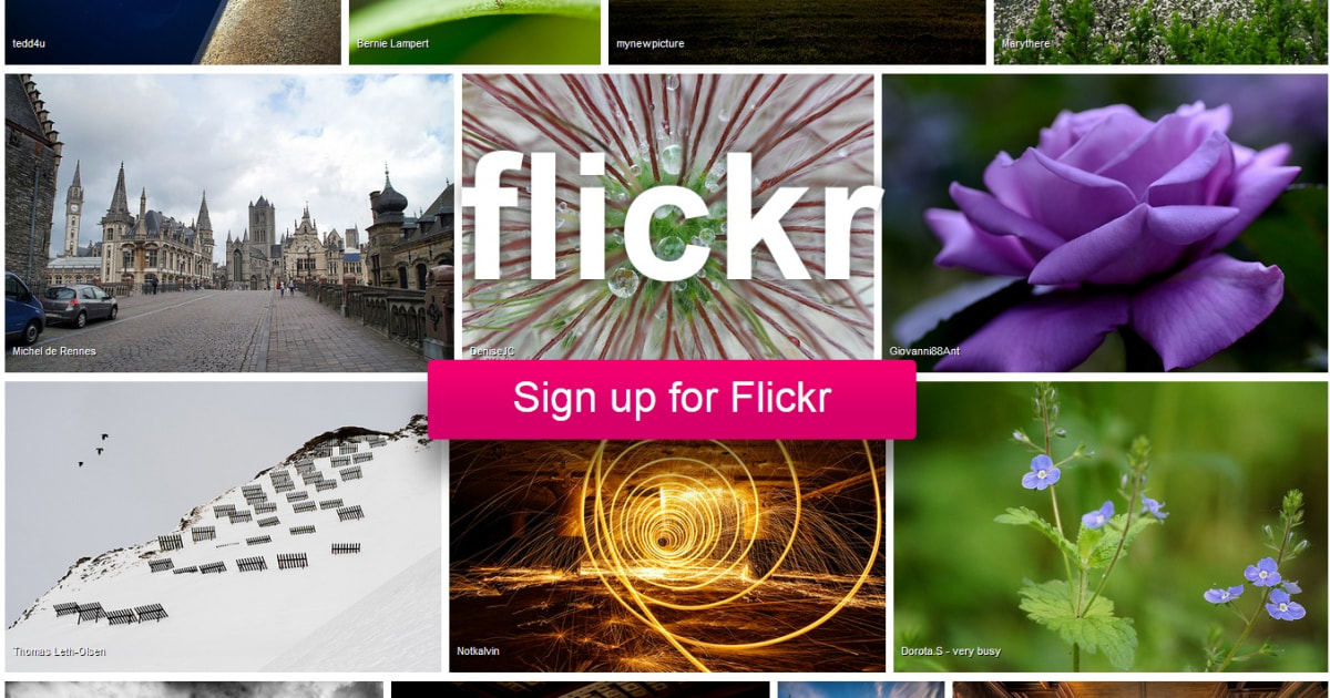 Flickr gets new look, 1 terabyte of free space