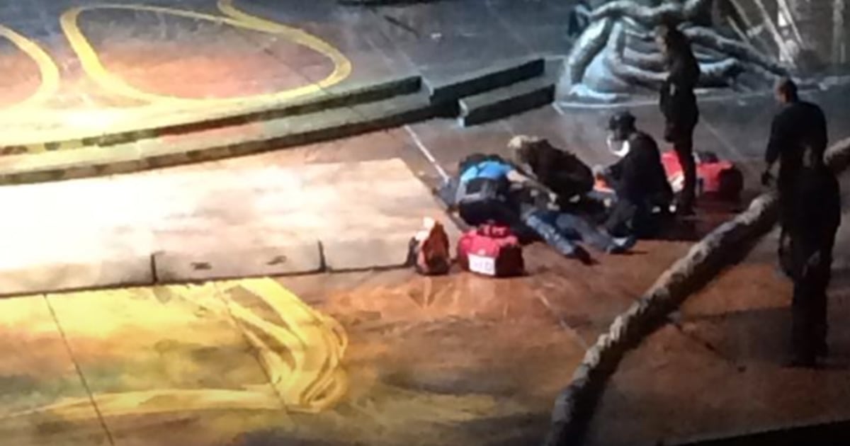 Cirque du Soleil performer falls in 'Wheel of Death' during Las Vegas show