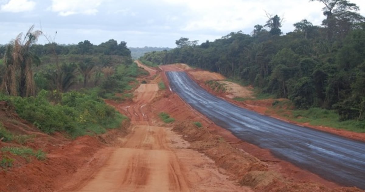 Rain forest threat: 30,000 miles of Amazon roads built in just 3 years