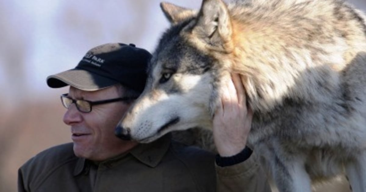 Were first dogs our best friends, or mutant vermin? The tale wags on