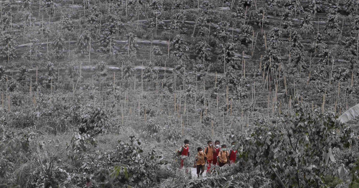 Startling landscapes in volcano's aftermath