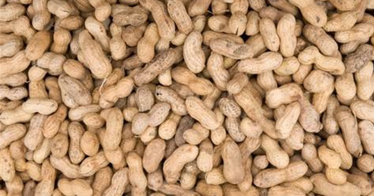 Boy's bone marrow transplant wiped out cancer -- and his peanut allergy