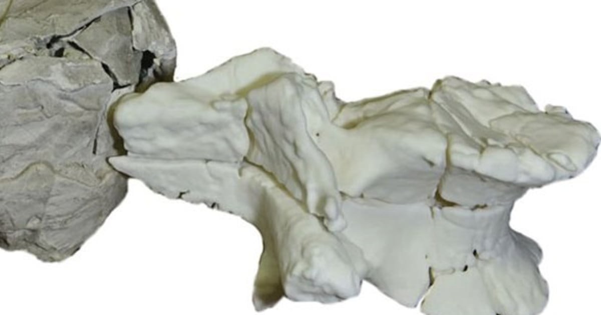 Hidden dinosaur fossil re-created with X-ray scanner and 3-D printer