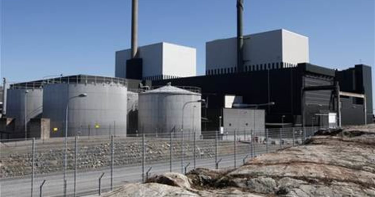 Wave of jellyfish clogs up Swedish nuclear reactor, shuts it down