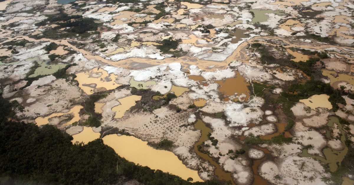 Gold rush sparked by global financial crisis devastates Amazon